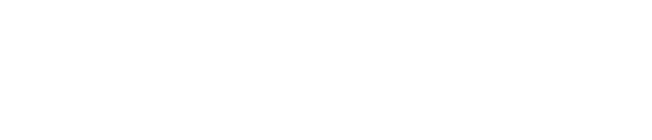 Saleslogic - Digital Business Hub